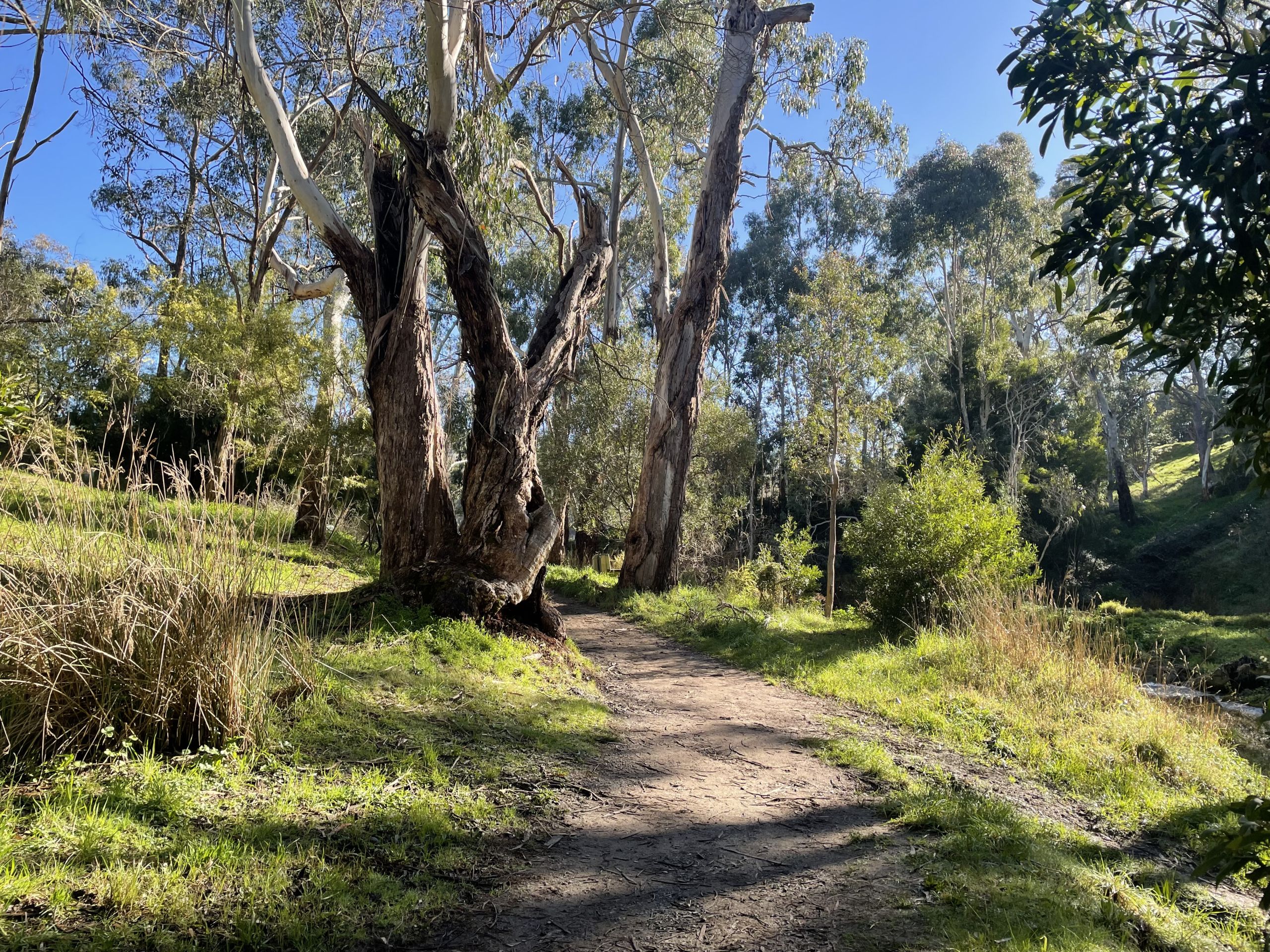Recreation Spaces and Trails Works | Adelaide Hills Engagement Hub